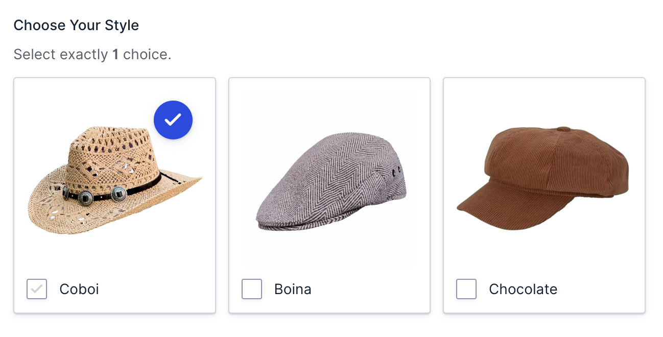 Image Choice Field - Gravity Forms Documentation Image Choice Field - Gravity Forms Documentation